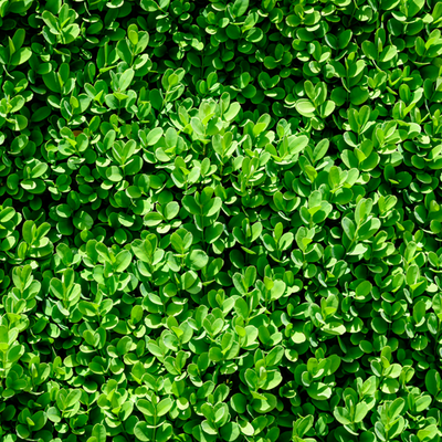 SUEZ takes over Luton-based waste management firm F&R Cawley ...