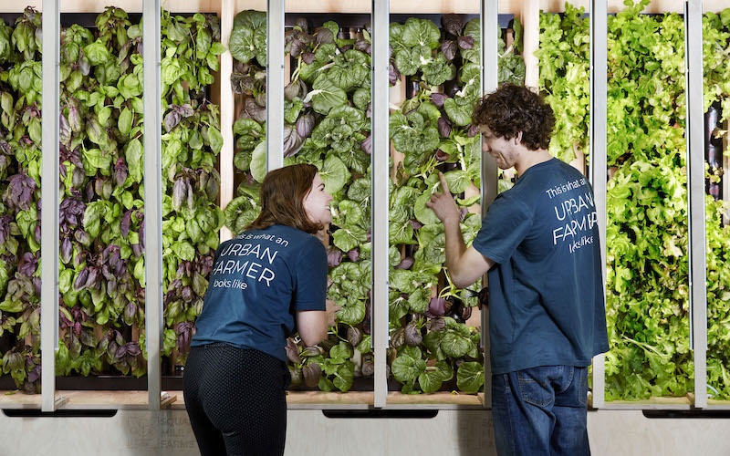 Compass installs urban farm at its HQ | Facilitate Magazine