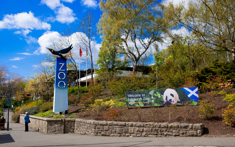 Sodexo Live! gains catering deal with Edinburgh Zoo | Facilitate Magazine