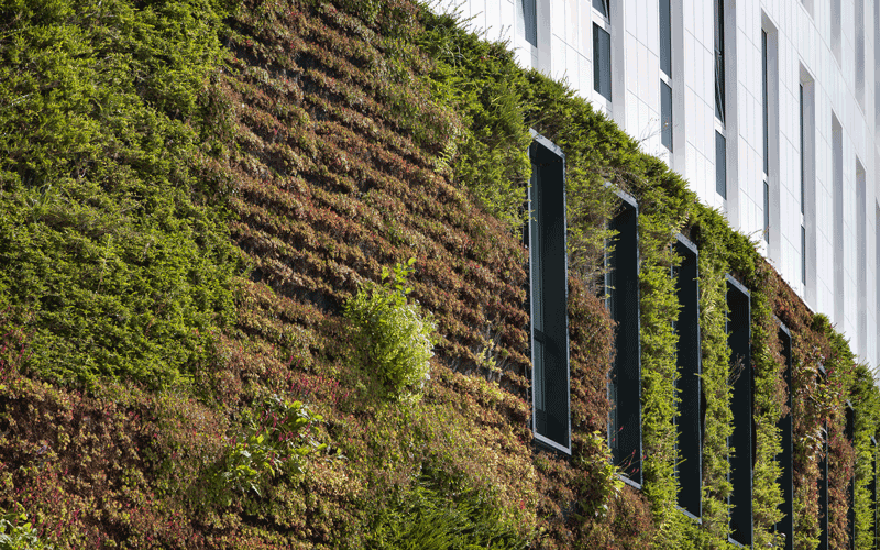 SuDS role grows under new water rules | Facilitate Magazine