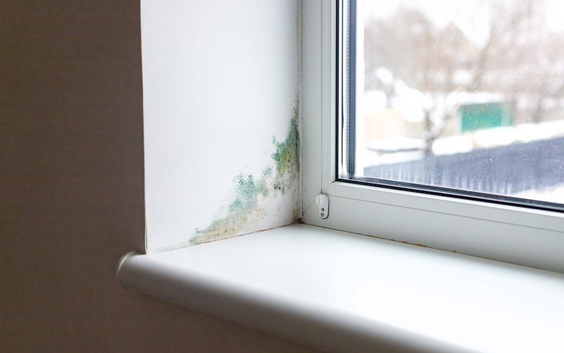 Mould expert claims Awaab’s Law is unfit for purpose | Facilitate Magazine